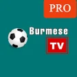 Download Burmese TV Pro - Appcracy