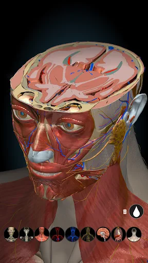 Download Anatomy Learning - 3D Anatomy - Appcracy