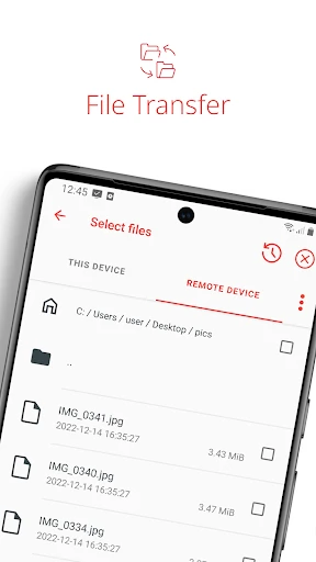 Download AnyDesk Remote Desktop - Appcracy