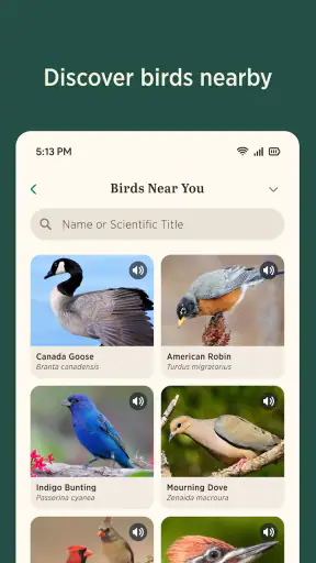 Download Audubon Bird Guide - Appcracy