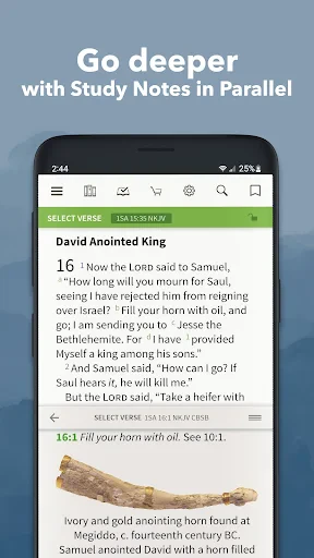Download Bible App by Olive Tree - Appcracy