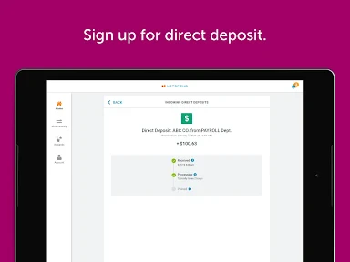 Download Classic Netspend - Appcracy
