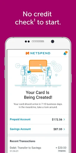 Download Classic Netspend - Appcracy