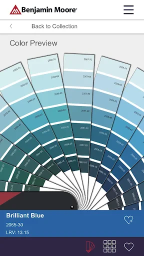 Download Color Portfolio - Appcracy