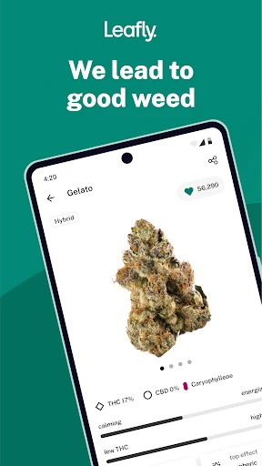 Download Leafly: Find Cannabis and CBD - Appcracy
