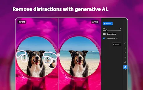 Download Lightroom Photo & Video Editor - Appcracy