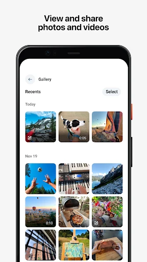 Download Meta AI - Appcracy