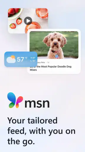 Download MSN - Appcracy