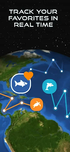 Download OCEARCH Shark Tracker™ - Appcracy