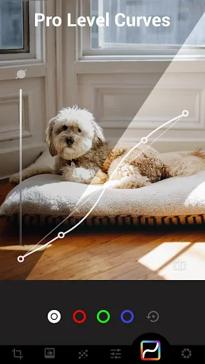 Download Photo Editor - Lumii - Appcracy