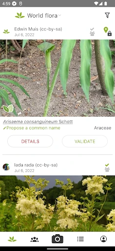 Download PlantNet Plant Identification - Appcracy