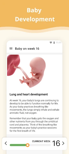 Download Pregnancy App - Appcracy
