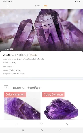 Download Rock Identifier: Stone ID - Appcracy