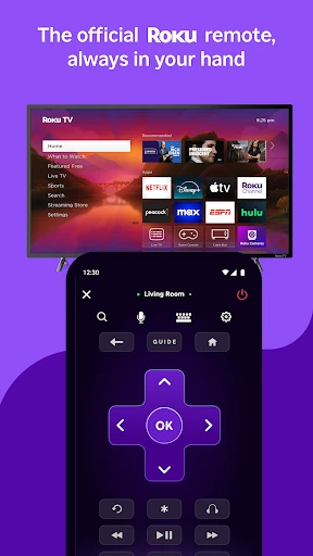 Download The Roku App (Official) - Appcracy