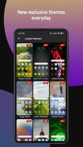 Download Themes - Appcracy