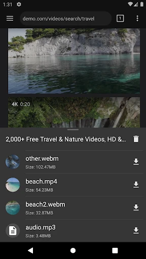 Download Video Downloader Pro - Appcracy