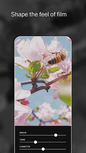 Download VSCO: Photo & Video Editor - Appcracy