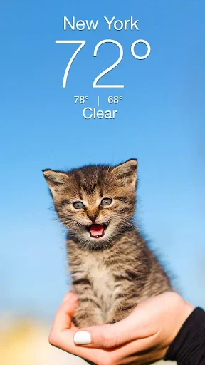Download Weather Kitty - App & Widget - Appcracy