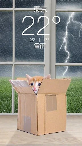 Download Weather Kitty - App & Widget - Appcracy