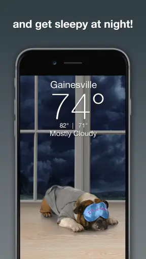 Download Weather Puppy - App & Widget - Appcracy