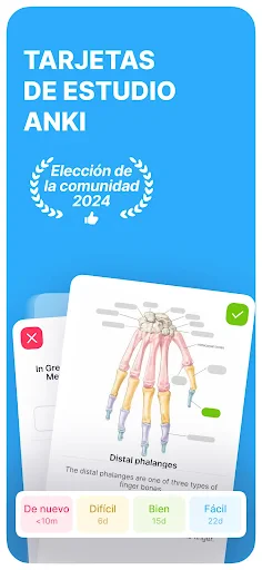 Descargar Anki Pro: Flashcads de estudio - Appcracy