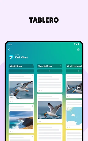 Descargar Padlet - Appcracy