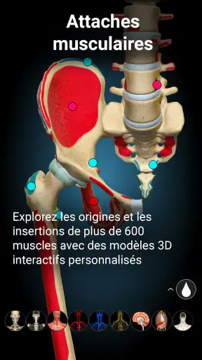 Téléchargez Anatomy Learning - Anatomie 3D - Appcracy