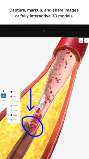 Téléchargez BioDigital Human - 3D Anatomy - Appcracy