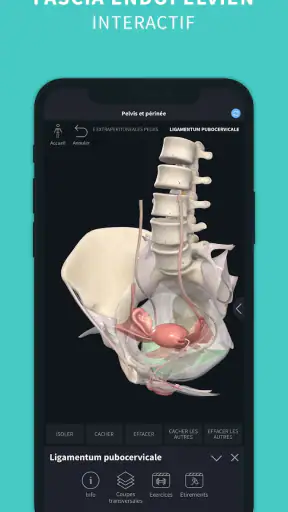 Télécharger Complete Anatomy - Appcracy