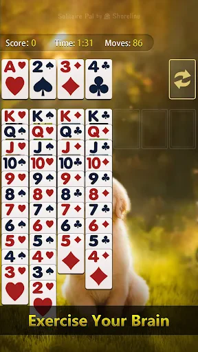 Solitaire Pal: Big Card をダウンロード - Appcracy