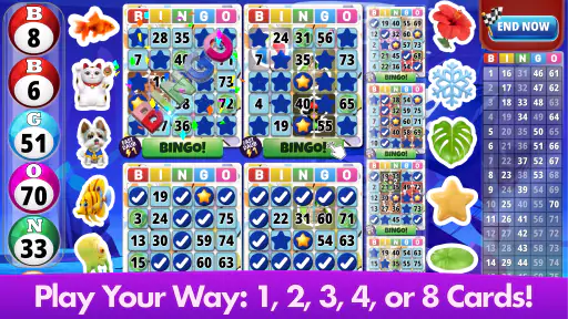 Download Bingo Classic - Bingo Games - Appcracy