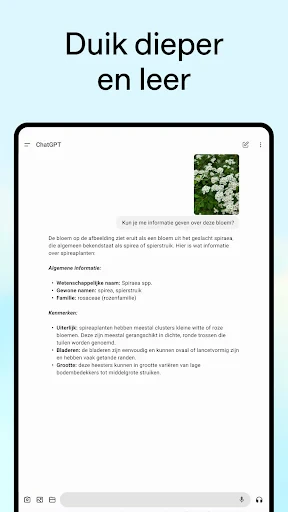 Download ChatGPT - Appcracy