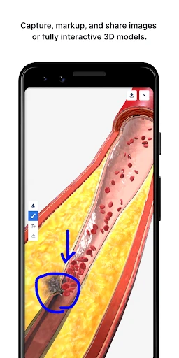 Baixar BioDigital Human - 3D Anatomy - Appcracy