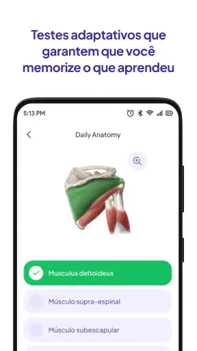 Baixar Flashcards do Daily Anatomy - Appcracy