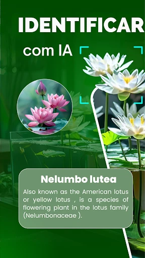 Baixar Florify: AI Plant Identifier - Appcracy