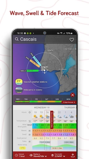 ดาวน์โหลด Windy.com - Weather Forecast - Appcracy